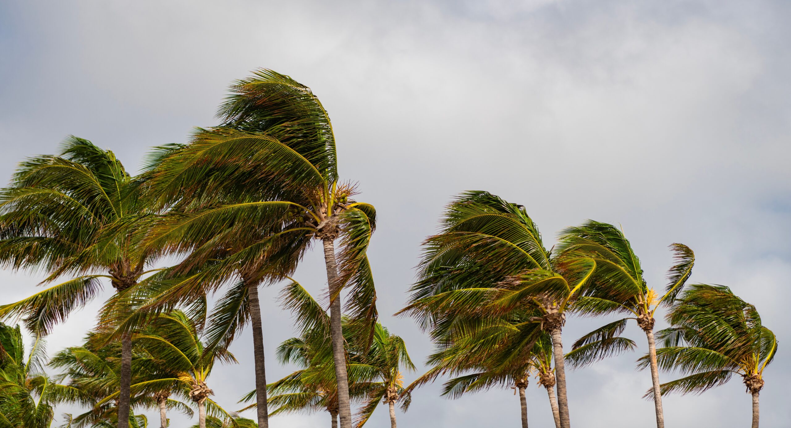 Hurricane Preparedness: How to Protect Your Home, Budget & Connectivity ...